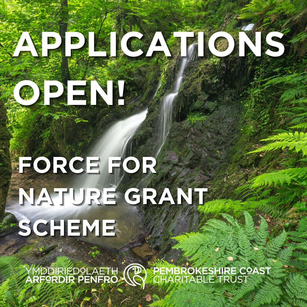 Funding nature’s future: Force for Nature grant scheme reopens for 2025 ...